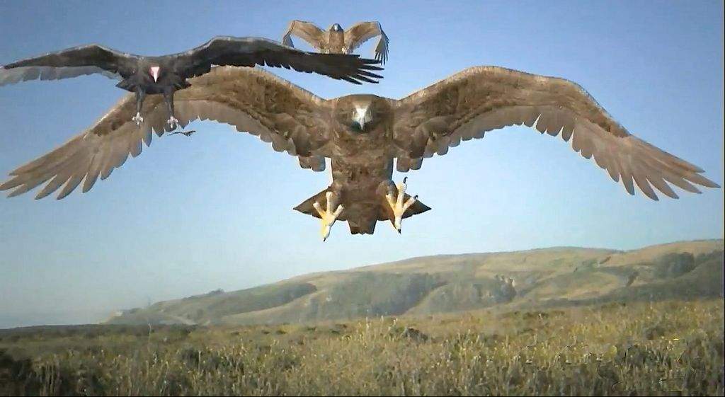 James Nguyen Director of Birdemic: Real or hoax? • Juan Carlos