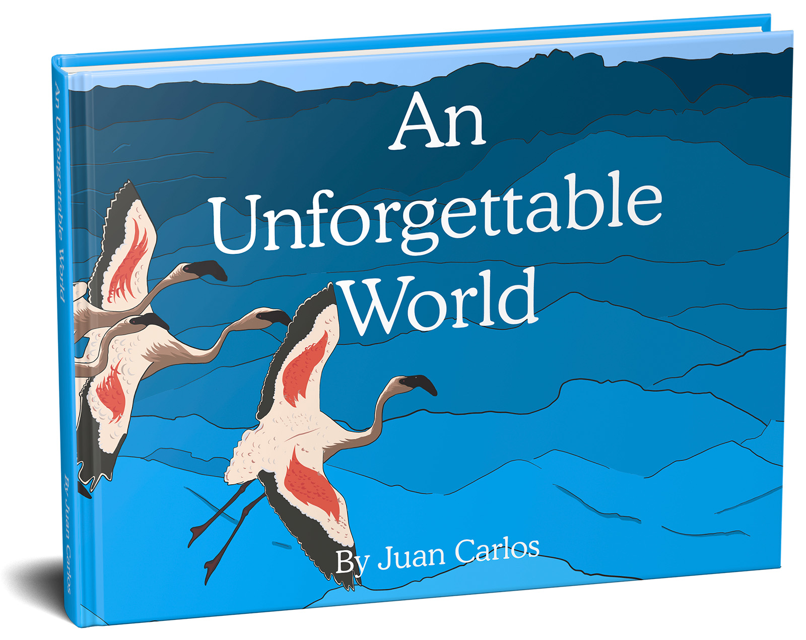 An Unforgettable World Picture Book • Juan Carlos