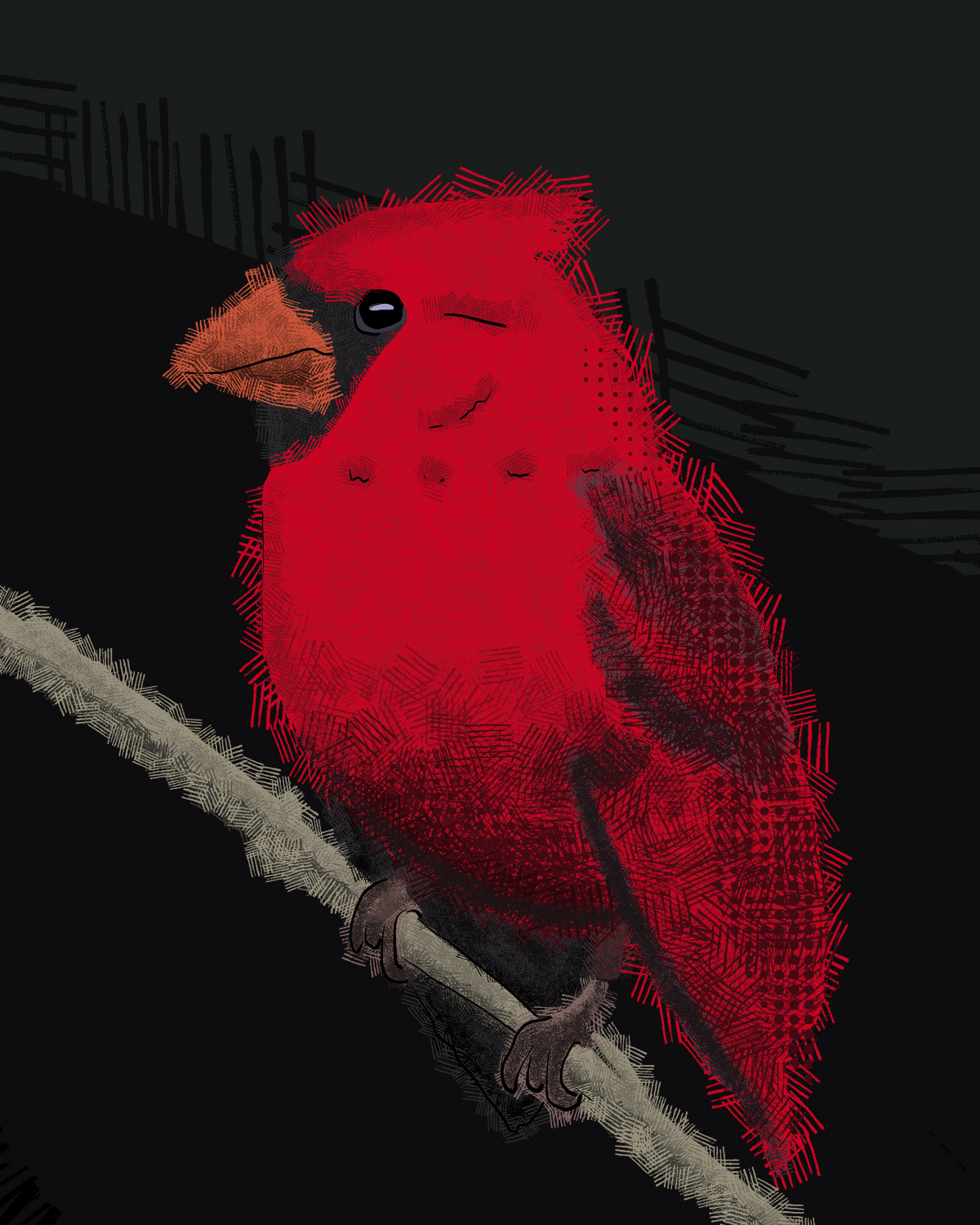 Bird Nerd Launch • Juan Carlos